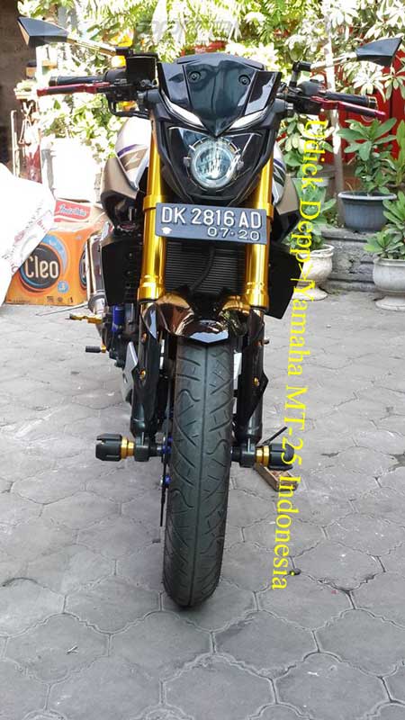 Modifikasi Yamaha MT25 pakai Upside Down Emas ini Nampak JOSS, coba dari pabrikan kayak gini ...
