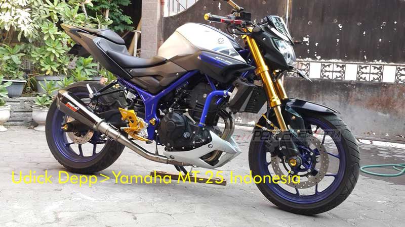 Modifikasi Yamaha MT25 pakai Upside Down Emas ini Nampak JOSS, coba dari pabrikan kayak gini ...