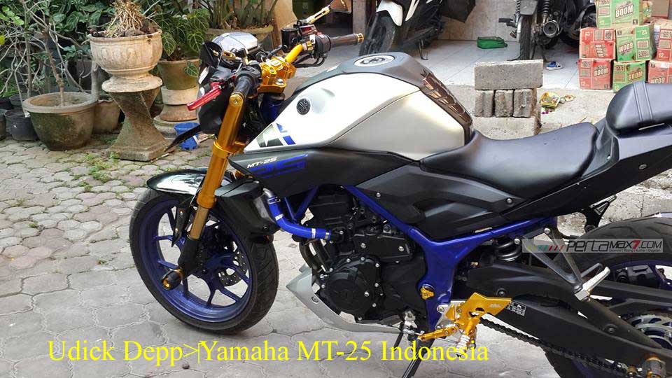 Modifikasi Yamaha MT25 pakai Upside Down Emas ini Nampak JOSS, coba ...